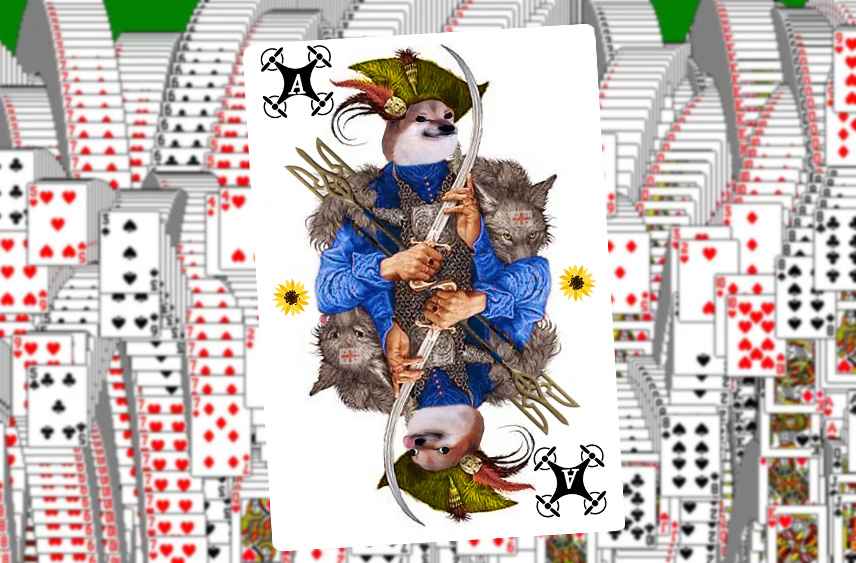 Forge Spotlight – North Atlantic Fella Organization