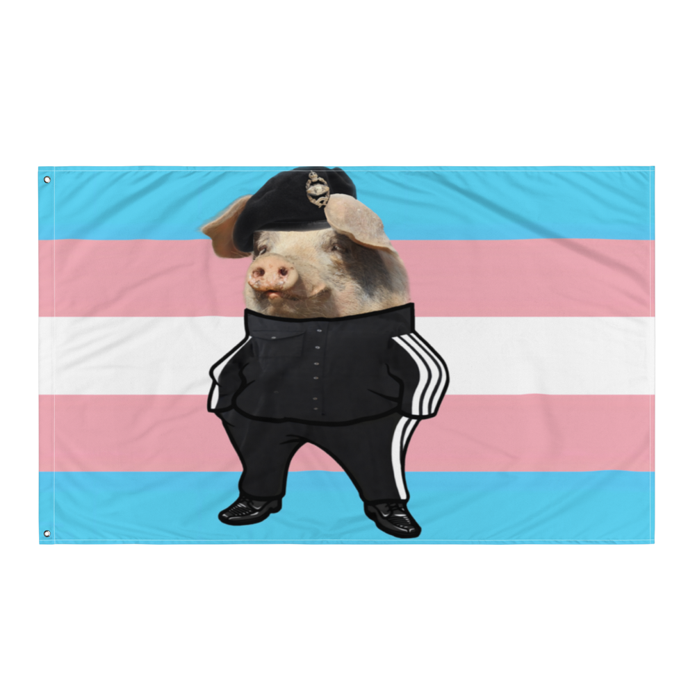 LazerPig Trans Pride Flag – NorthAtlanticFellaOrganization